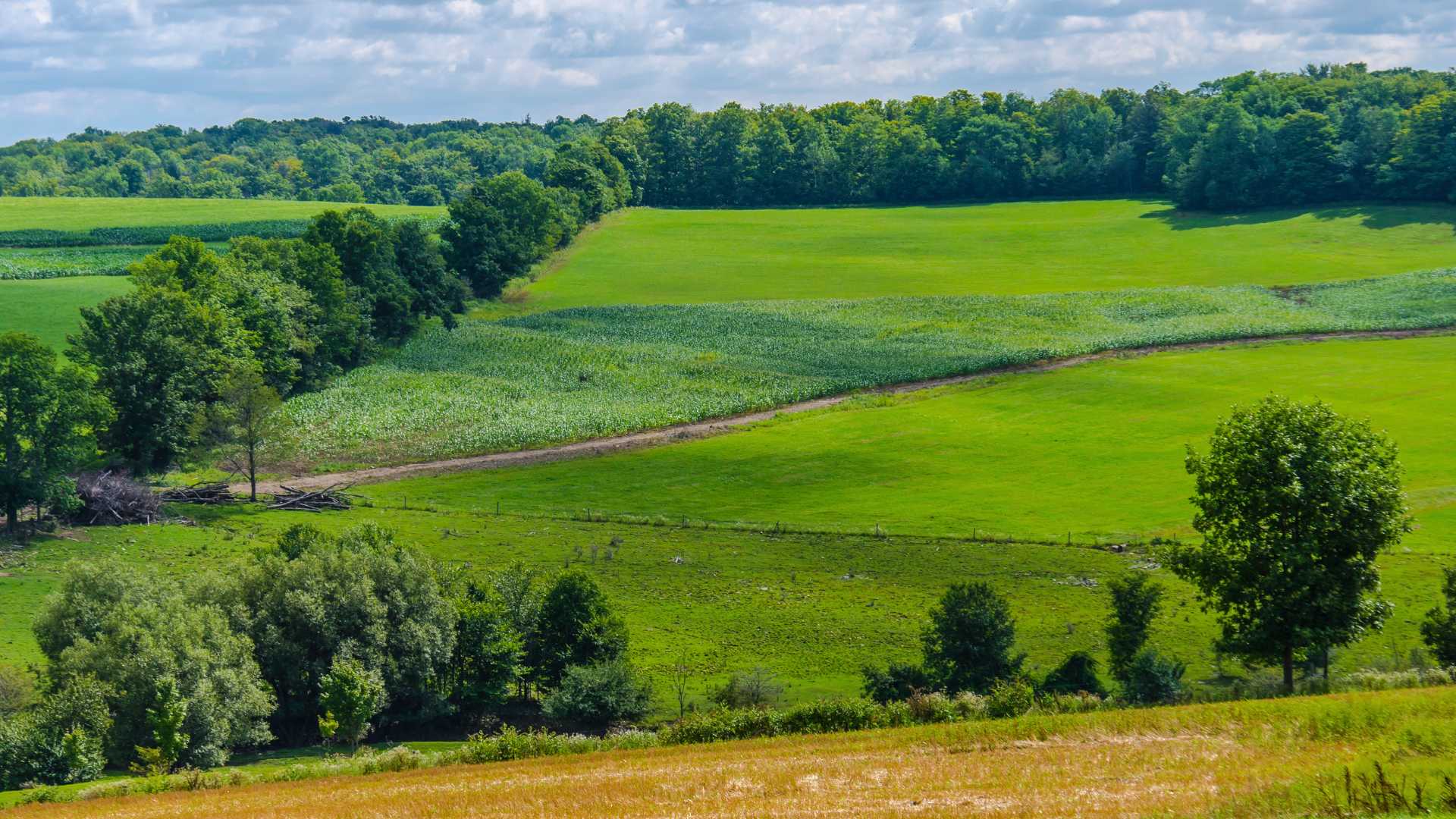 Office Space Near Pennsic in Beautiful Downtown Butler PA